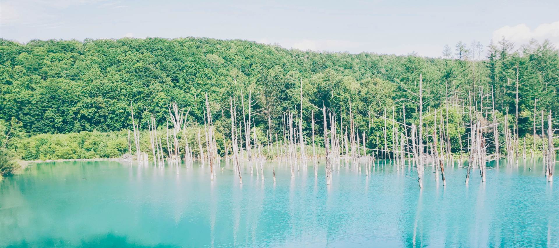 Biei | Photo | JAPAN WEDDING
