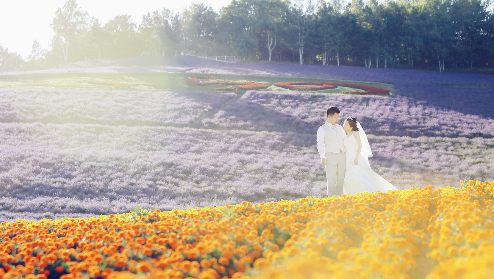 Furano | Photo | JAPAN WEDDING
